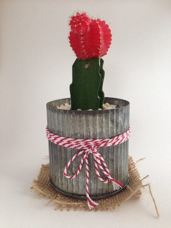 DIY Light Box: Improve Your Product Photography